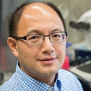 Rui Zhao | About | University of Alabama at Birmingham